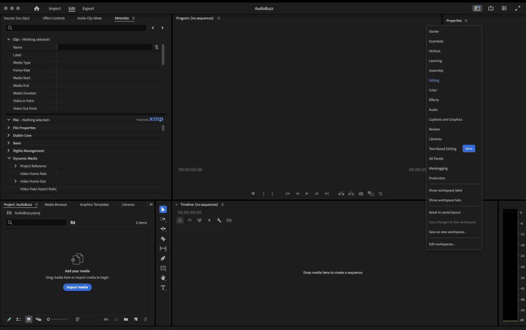 How to Use Adobe Premiere Pro - For Beginners | Audio Buzz